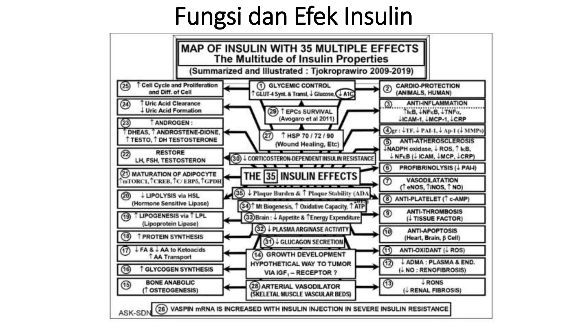 Cara penggunaan insulin.pptx