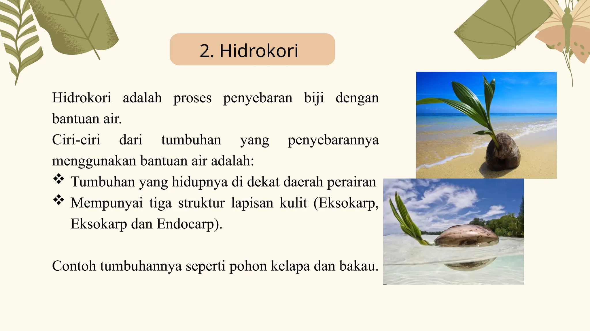 PPT materi tentang Cara Penyebaran Biji menggunakan Model Project Based ...