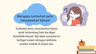 PPT materi tentang Cara Penyebaran Biji menggunakan Model Project Based ...