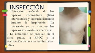 Exploración fisica del torax anterior y posterior | PPTX