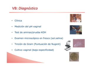 Actualización Del Manejo De La Vaginosis Bacteriana Pdf