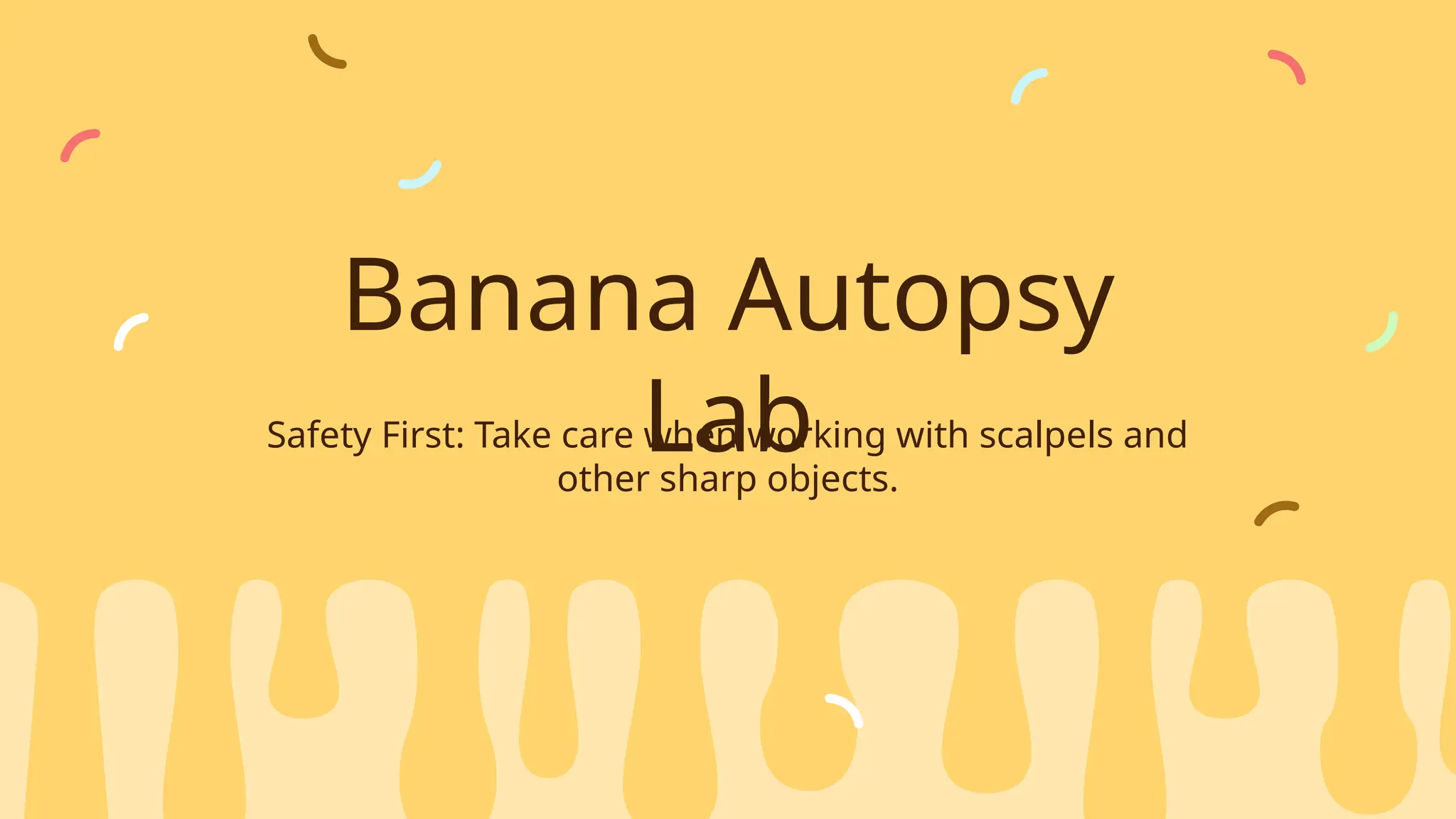 Banana Autopsy Lab for science use for schooling and great for children ...