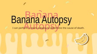 Banana Autopsy Lab for science use for schooling and great for children ...