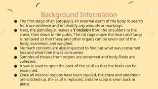 Banana Autopsy Lab for science use for schooling and great for children ...