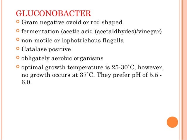 Cara's microbiology presentation