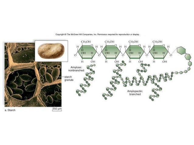 How Cara's presentation ethanol process