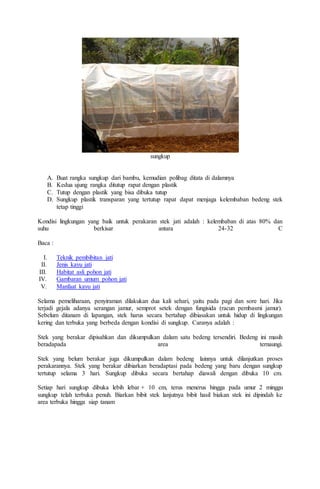 Cara stek pucuk tanaman jati | DOCX