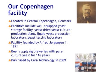 Cara Technology Company Overview | PPTX