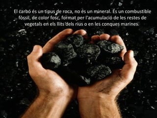 Carbó | PPT
