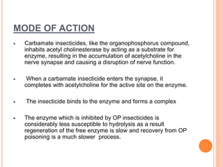 CARBAMATE INSECTICIDESS.pptx