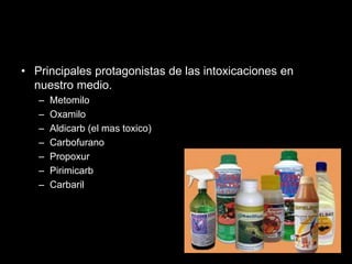 carbamatos exposición de intoxicación por organofosforados | PPTX