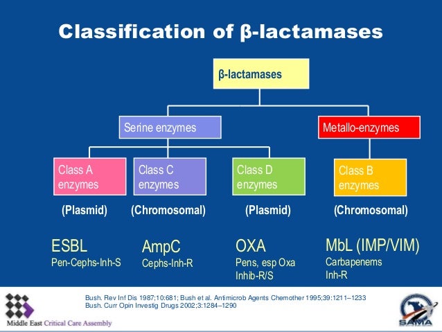 Carbapenamases in the Intensive Care Unit