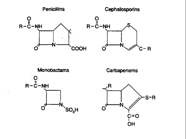 Carbapenems | PPT | Pharmaceutical Drugs | Medical Health