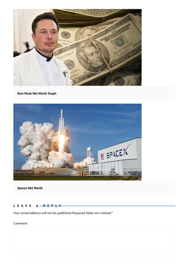 Who is Elon Musk | PDF