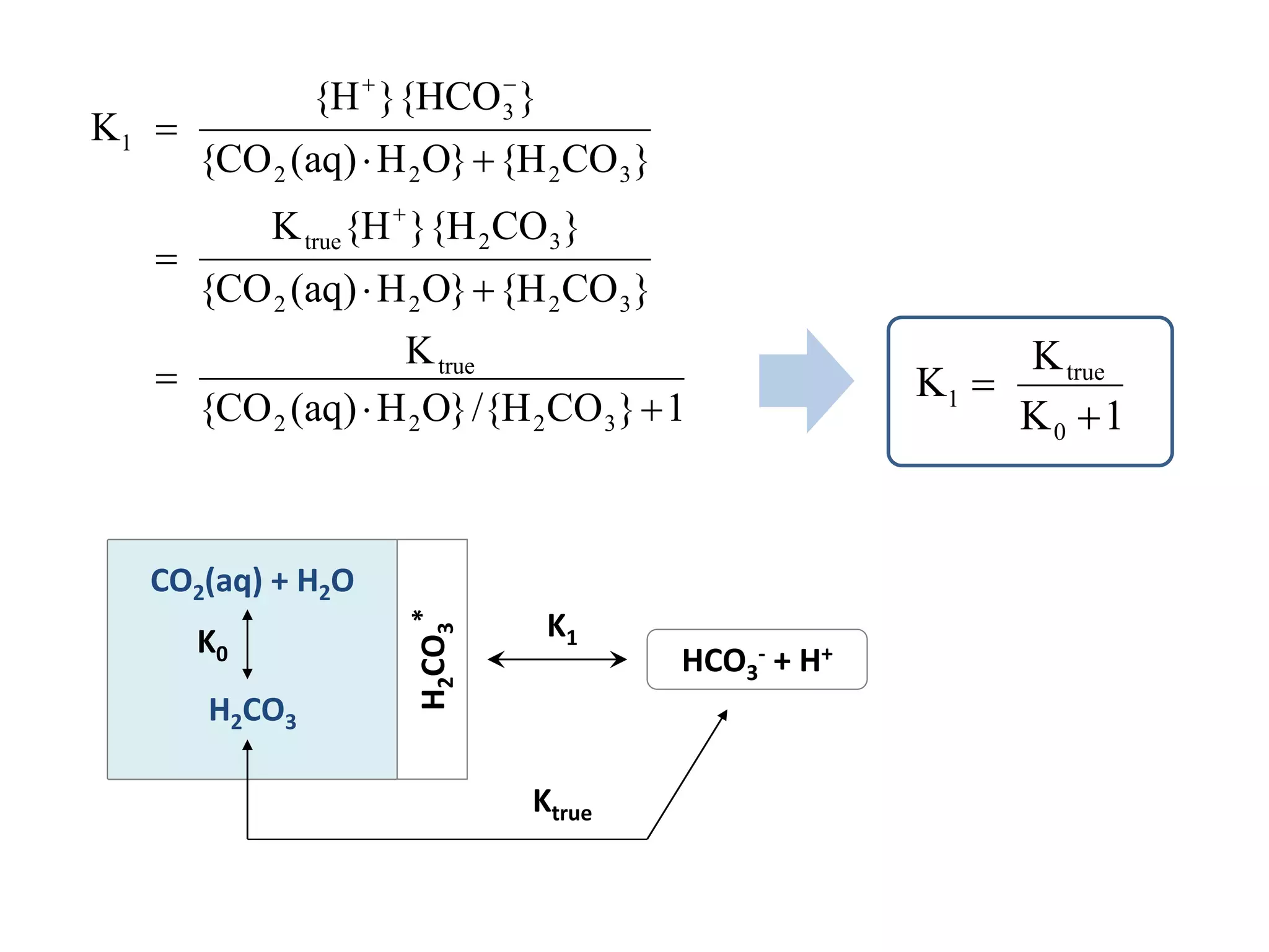 Composite Carbonic Acid and Carbonate Kinetics | PPTX