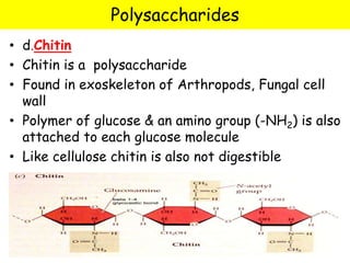 Carbohdrates | PPTX