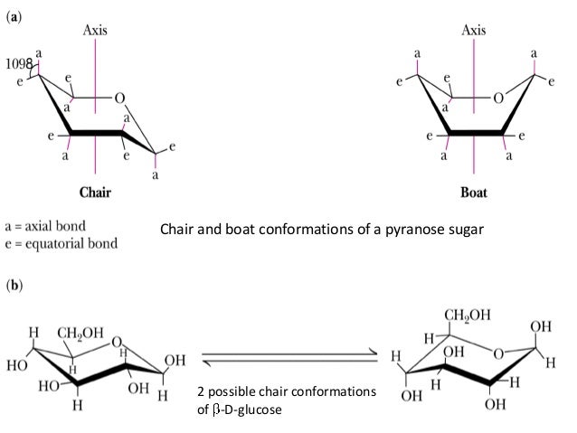 L Galactose Chair