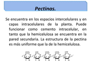 Carbohidratos | PPT
