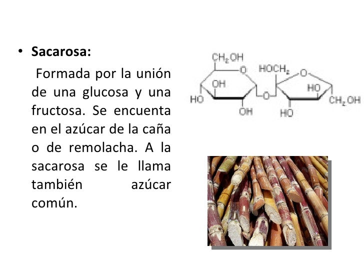 Sacarosa Funcion