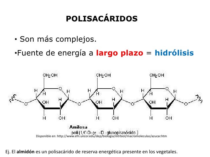 Carbohidratos