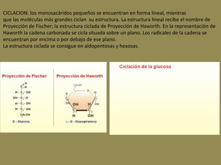 Carbohidratos | PPT