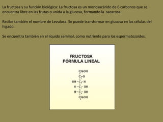 Carbohidratos | PPT