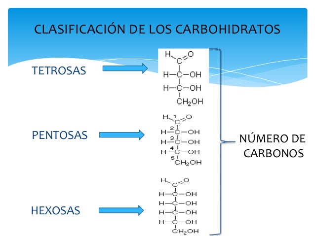 Carbohidratos