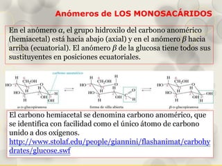 Carbohidratos - Bioquímica | PPTX