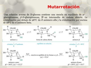 Carbohidratos - Bioquímica | PPTX