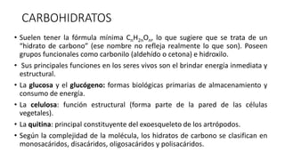 CARBOHIDRATOS.pdf12354467779/555454555555 | PDF
