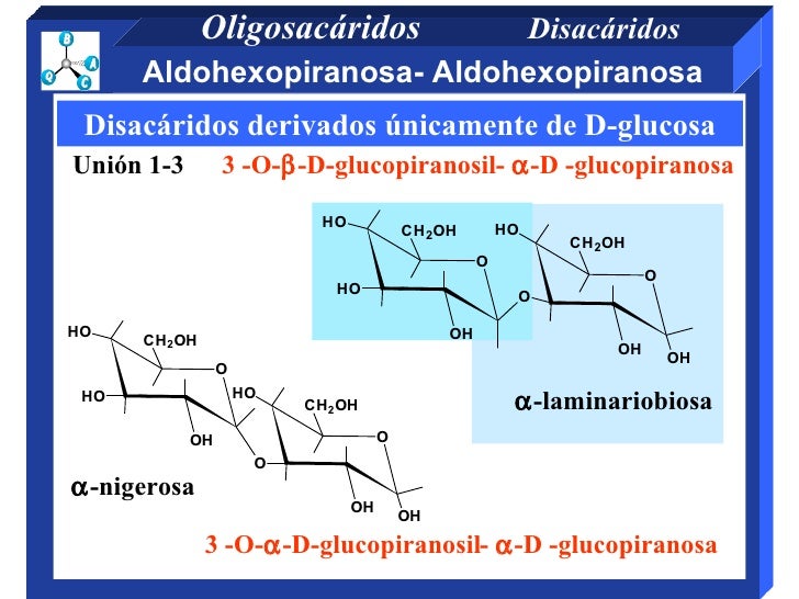 Carbohidratos oligosacáridos