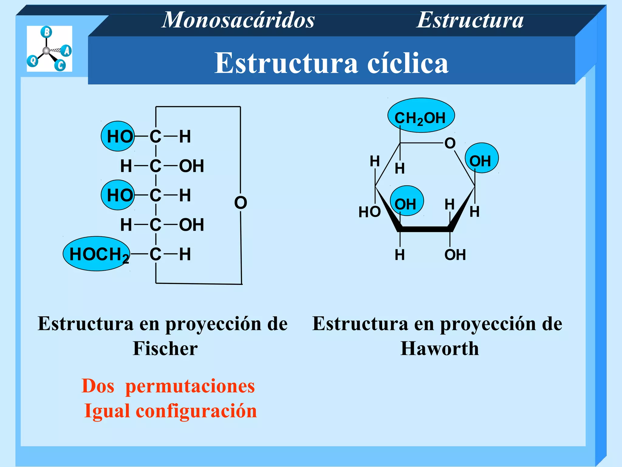 Carbohidratos principal | PPT