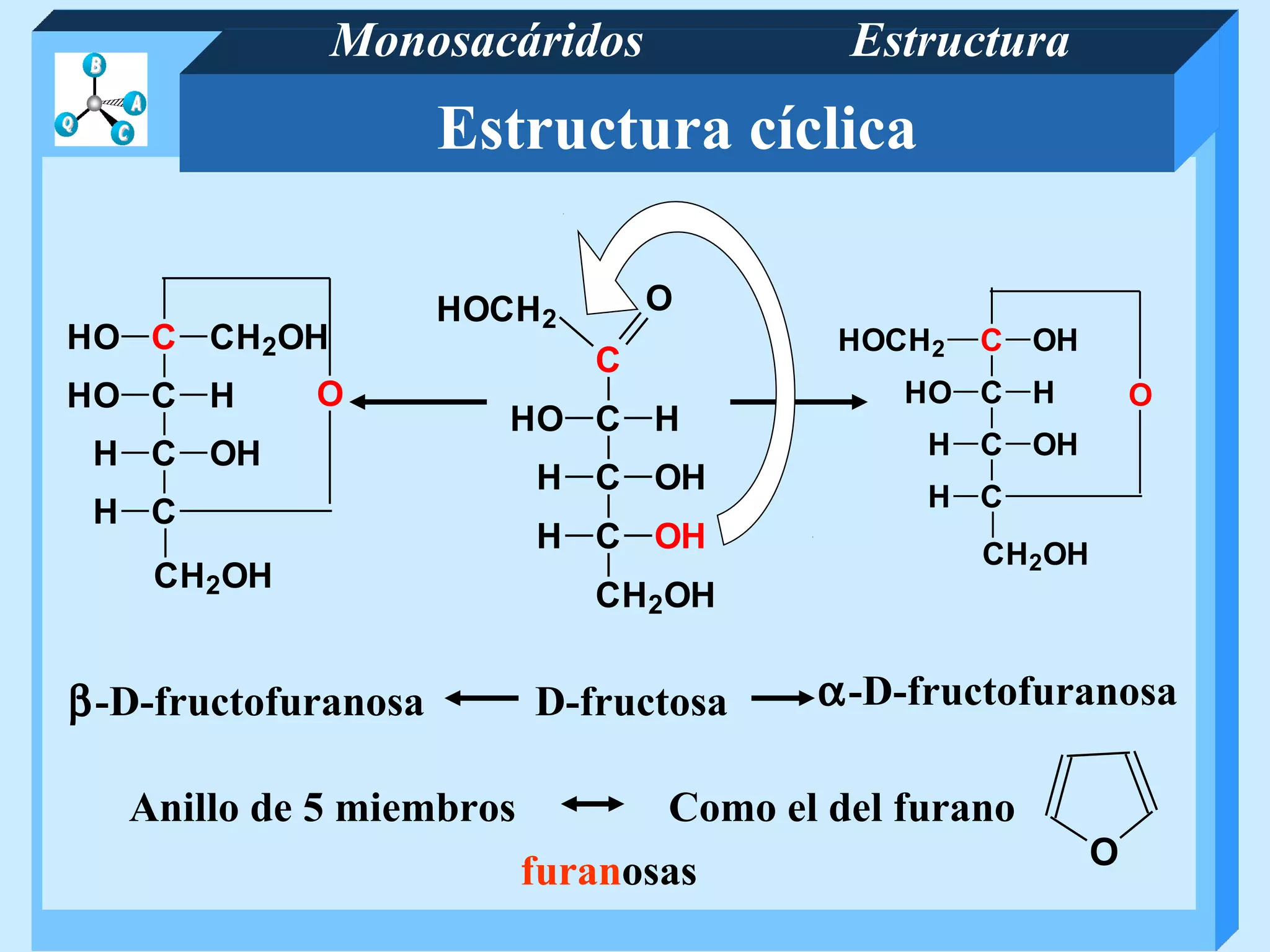 Carbohidratos principal | PPT
