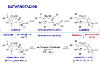 Carbohidratos s. CARBOHIDRATOS 2023.pptx