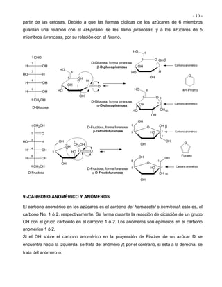 carbohidratos | PDF