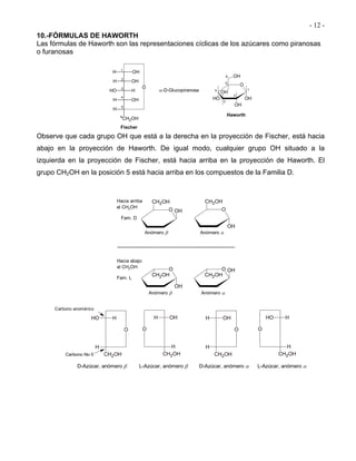 carbohidratos | PDF
