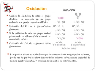 Carbohidratos | PPT