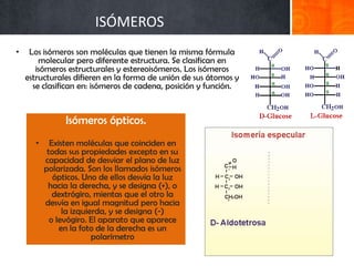 Carbohidratos y su clacificacion | PPTX