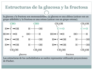 carbohidratos y acidos nucleicos.ppt