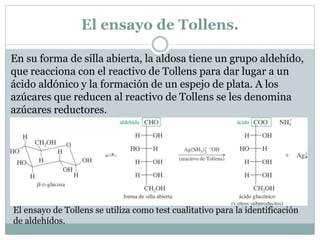 carbohidratos y acidos nucleicos.ppt