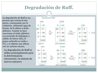 carbohidratos y acidos nucleicos.ppt