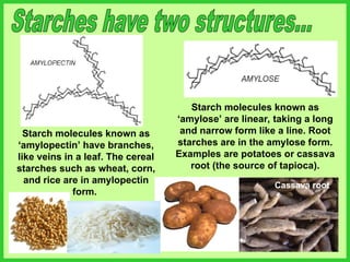 Carbohydrates effect on human body health | PPT