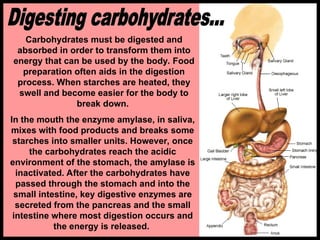 Carbohydrates effect on human body health | PPT