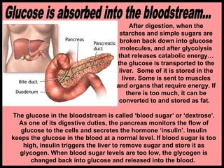 Carbohydrates effect on human body health | PPT
