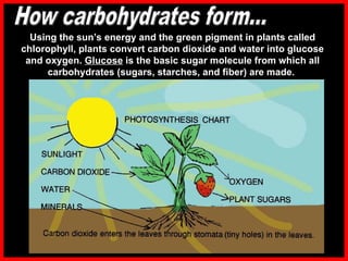 Carbohydrates effect on human body health | PPT