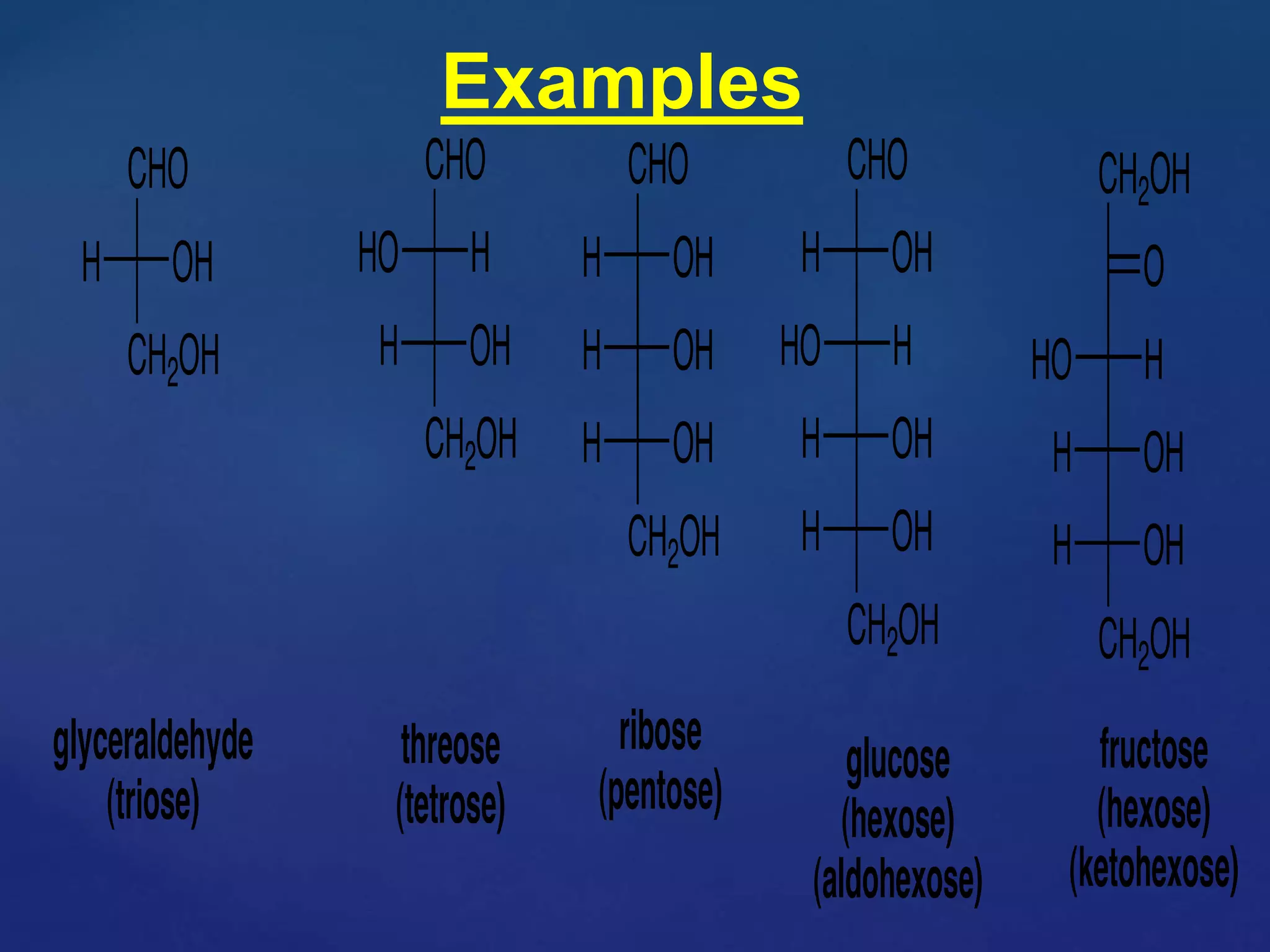 Carbohydrate ,types and importance | PPTX