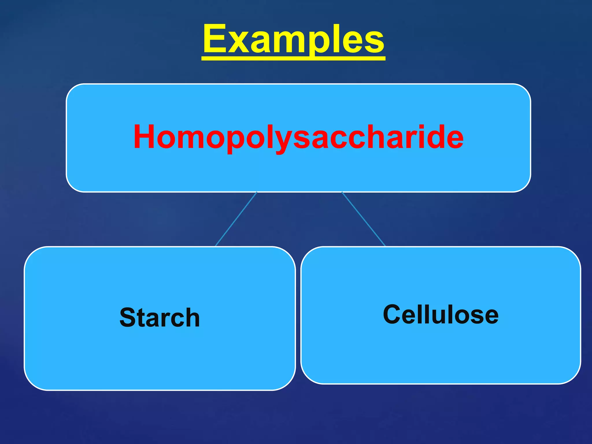 Carbohydrate ,types and importance | PPTX