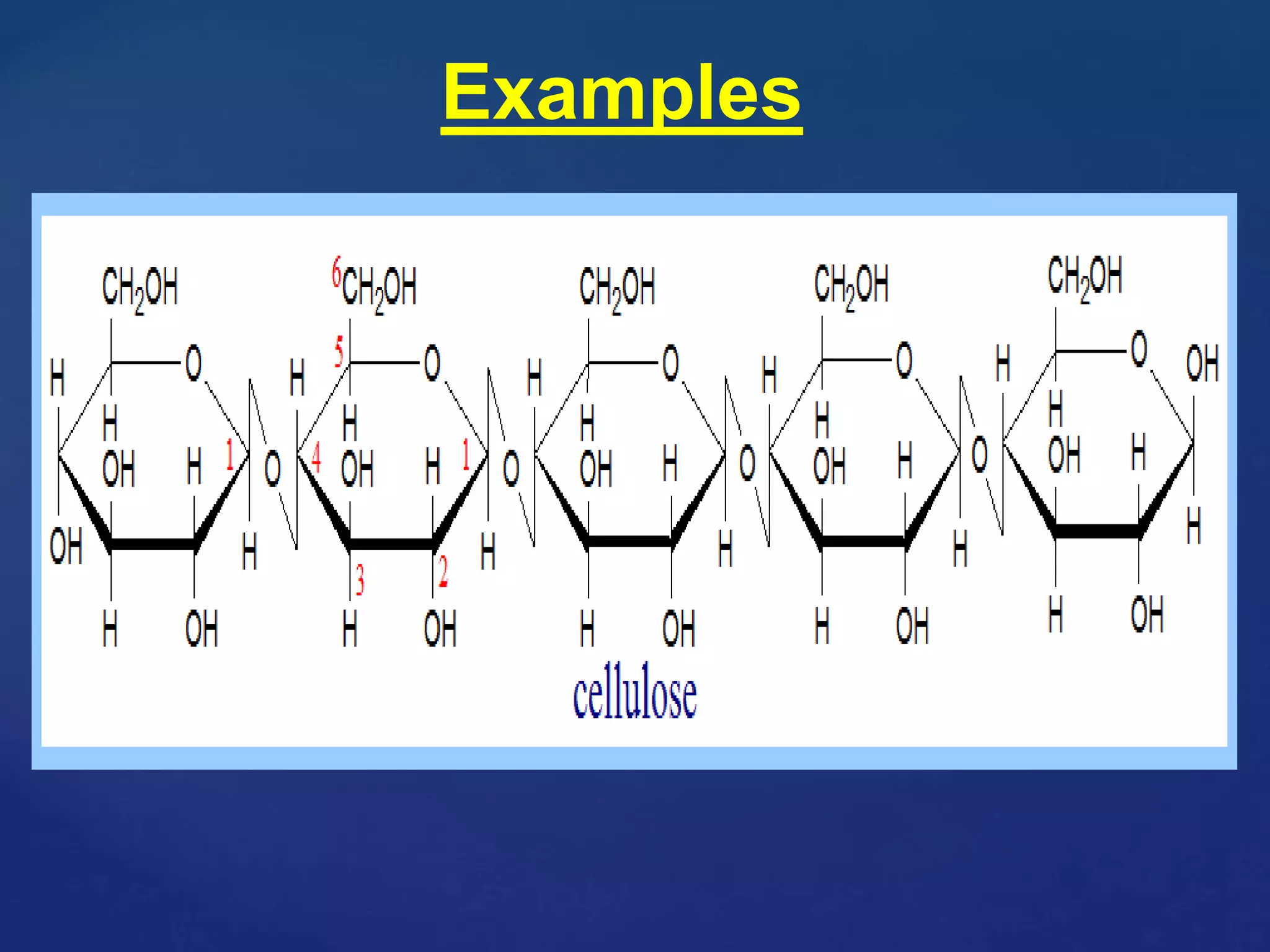 Carbohydrate ,types and importance | PPTX