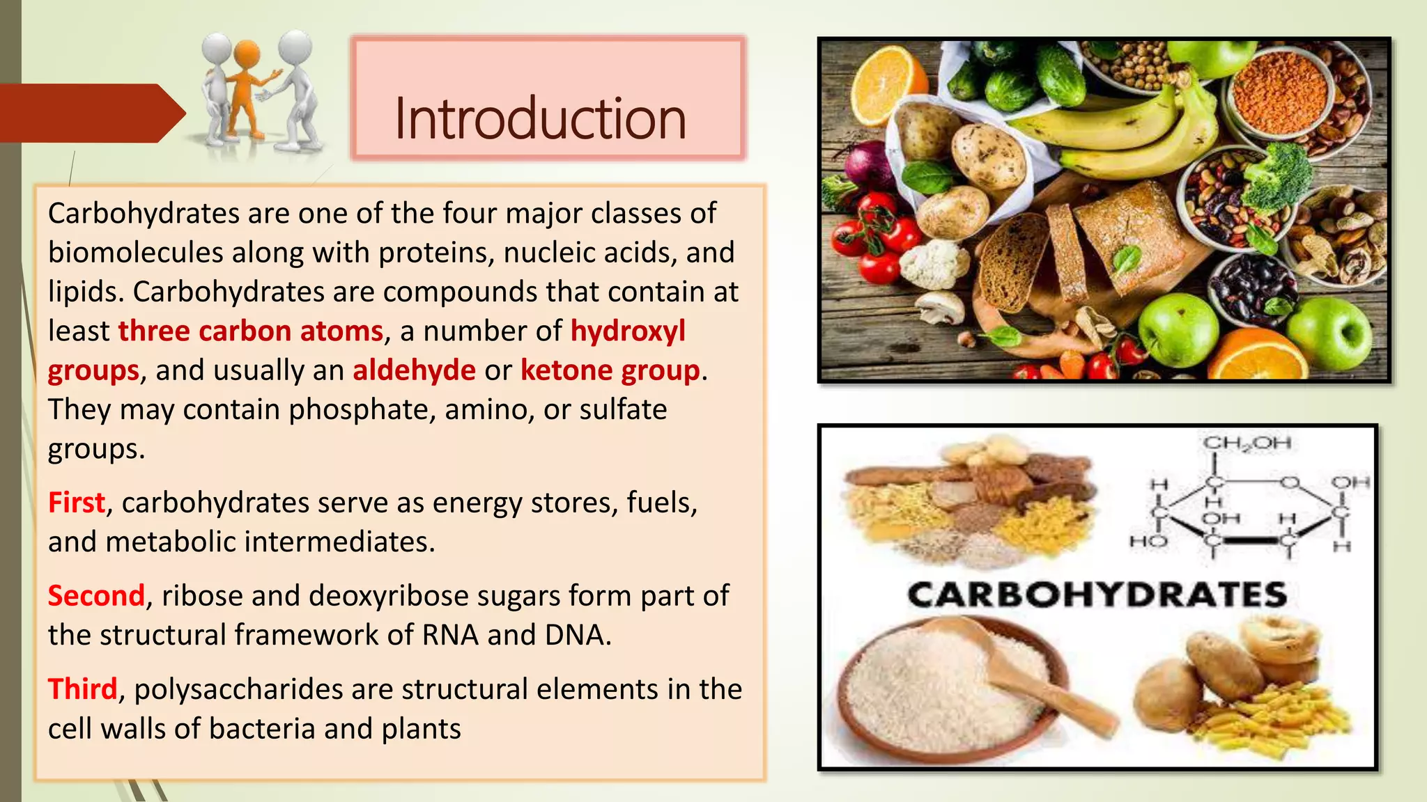 Carbohydrate | PPTX
