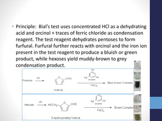 Carbohydrate | PPTX